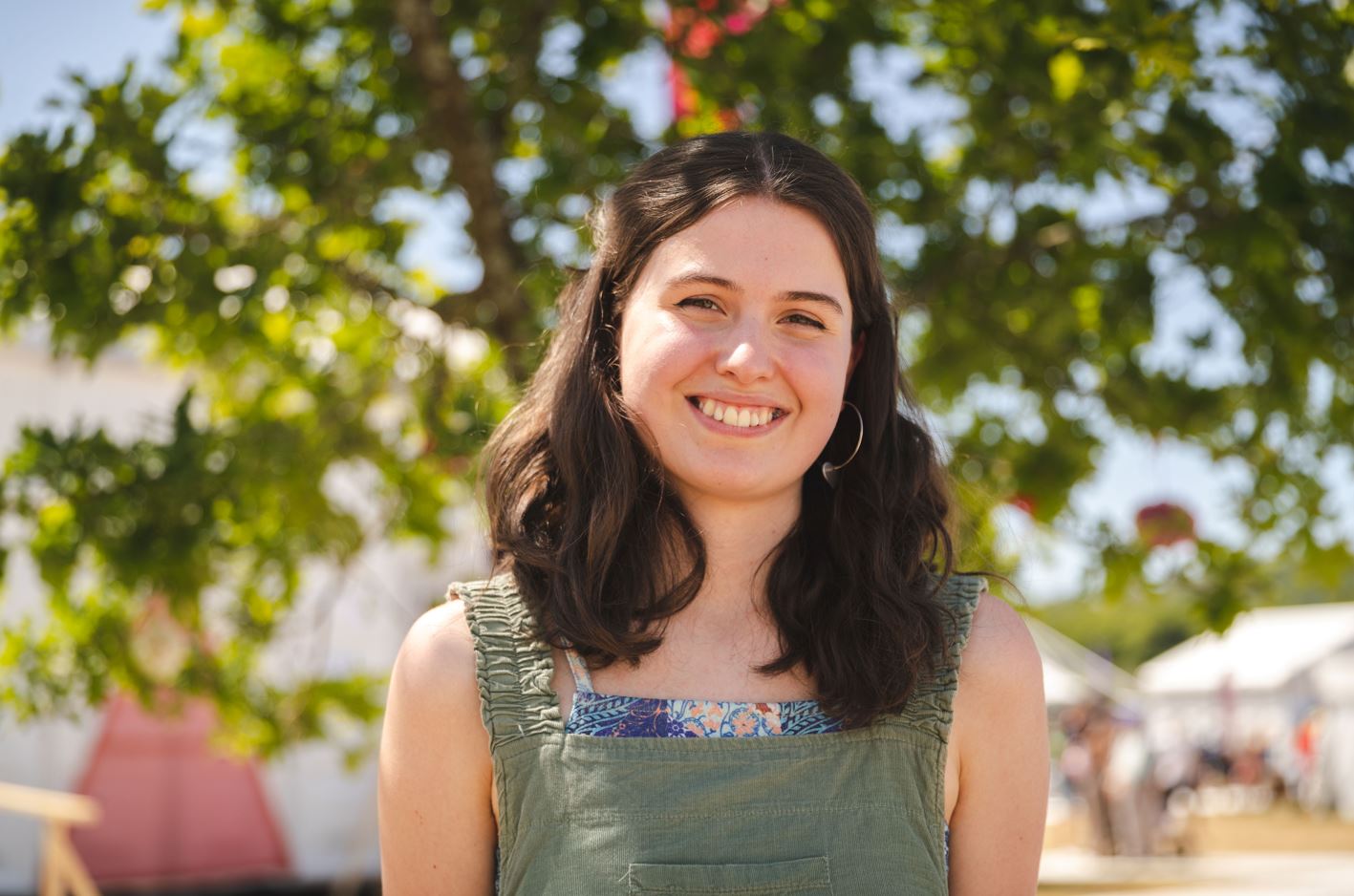 Chief Artist and Art Medal winners announced at 2023 Carmarthenshire ...