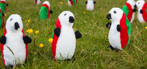 The Urdd is an youth organisations that offers activities through the ...